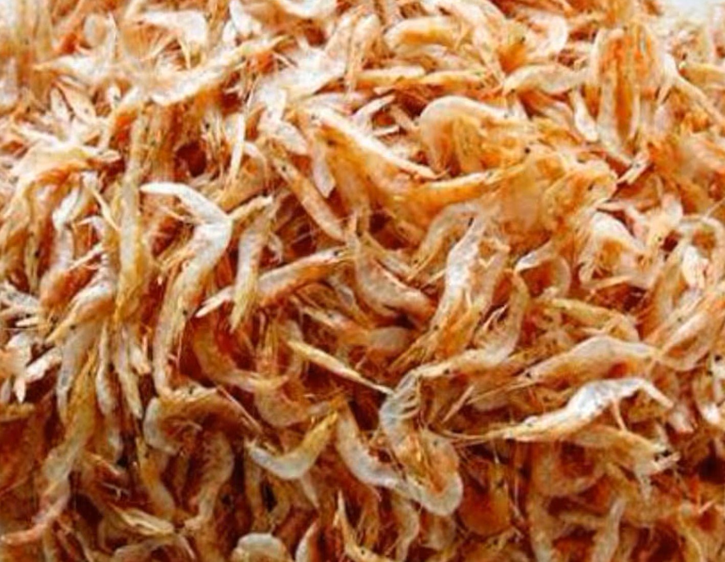 Premium Grade NDUM Brand Crayfish (ecrevisses fumees) - The Ultimate A