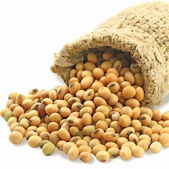 Yellow Beans | Mbambara Grountnut